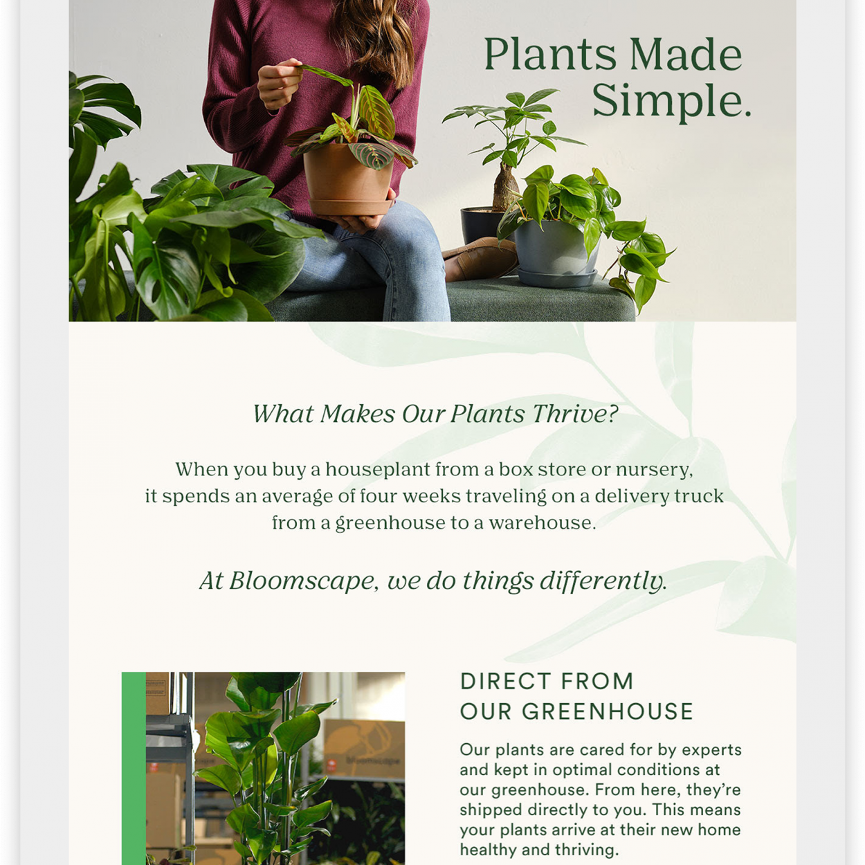 20 High-Converting Email Newsletter Examples You Need to See